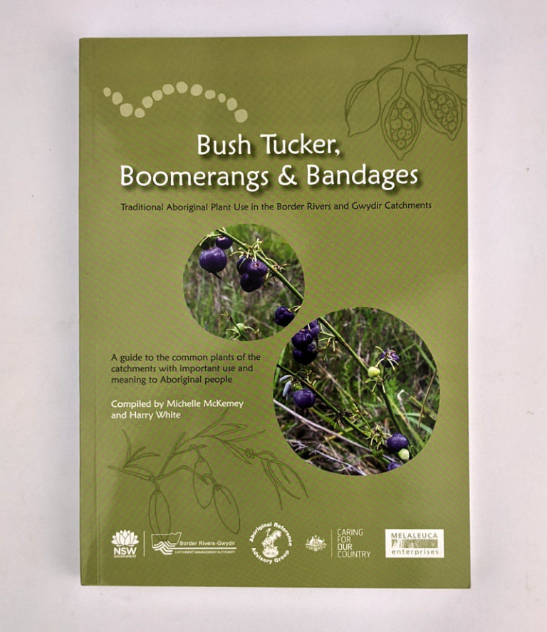 Bush Tucker, Boomerangs and Bandages: Traditional Aboriginal Plant Use ...