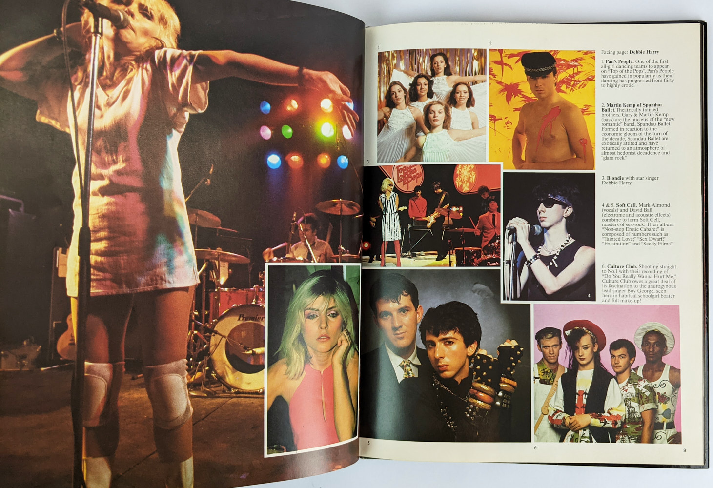 Rock Stars - The Book Merchant Jenkins