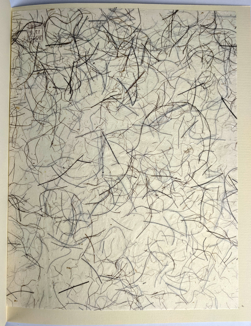 Strange Papers: A Collection of the World’s Rarest Handmade Papers ...