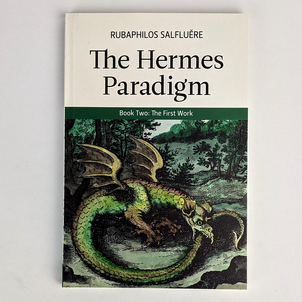 The Hermes Paradigm: Book Two: The First Work - The Book Merchant Jenkins